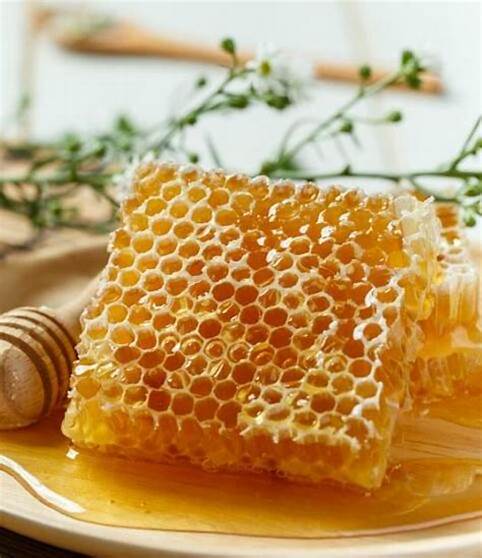 Bienenwachs (Cera Alba)